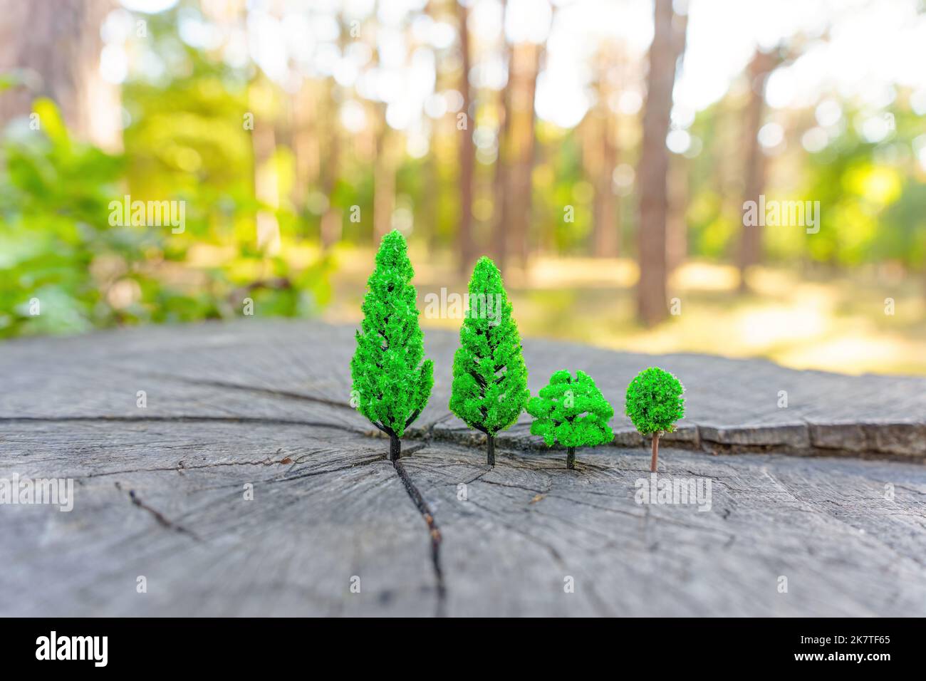 Tiny toy trees placed on a large tree stump in the forest Stock Photo ...