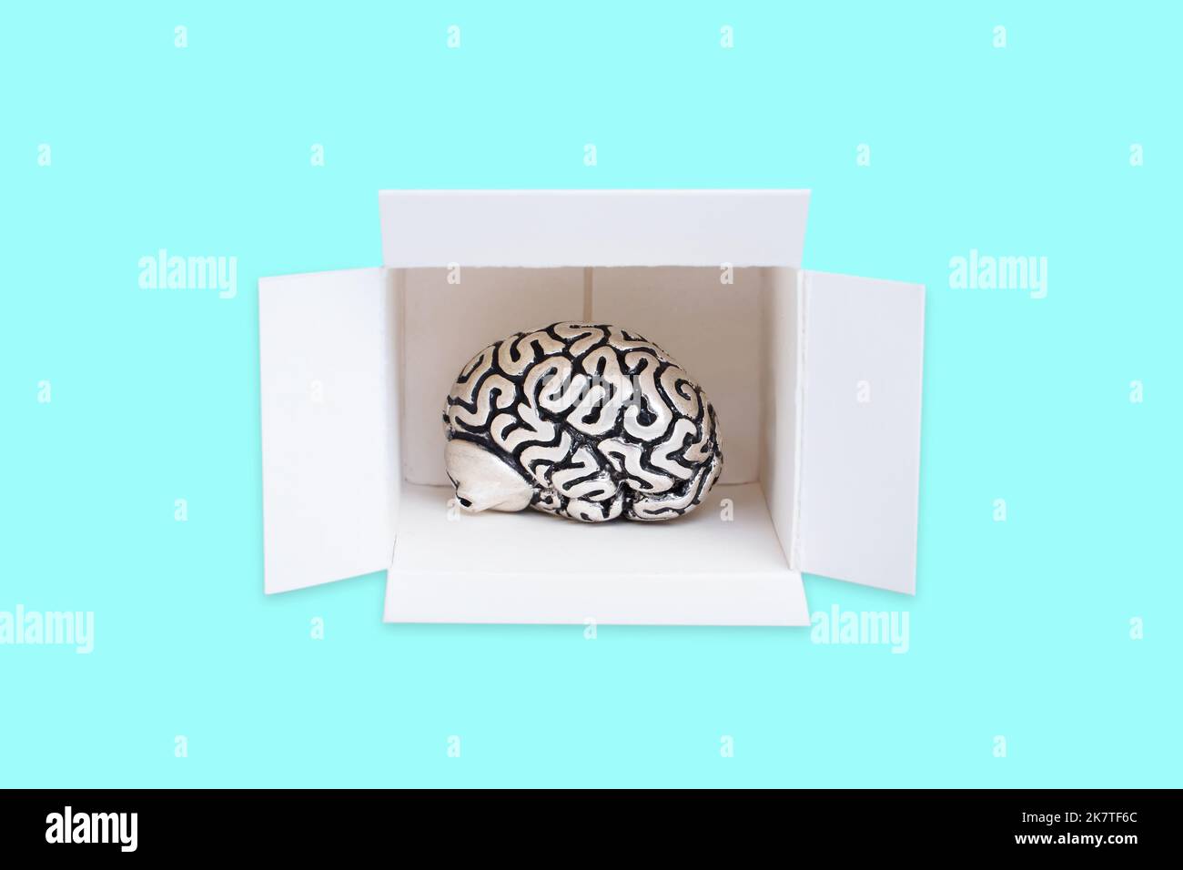 Steel brain in a shipping box isolated on a turquoise background ...