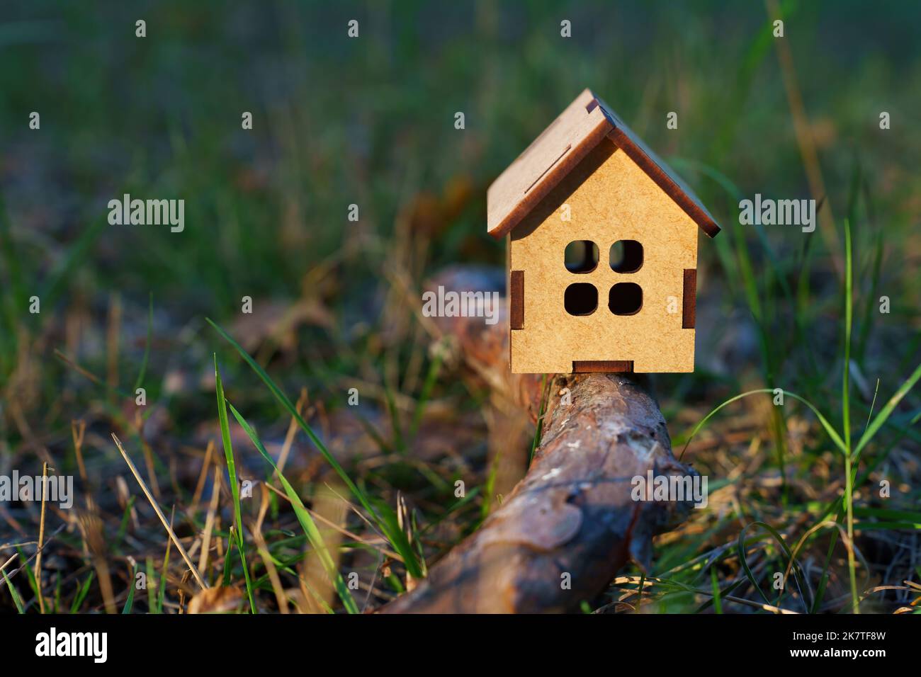 Miniature toy house placed on a tree branch lying on the ground in the ...