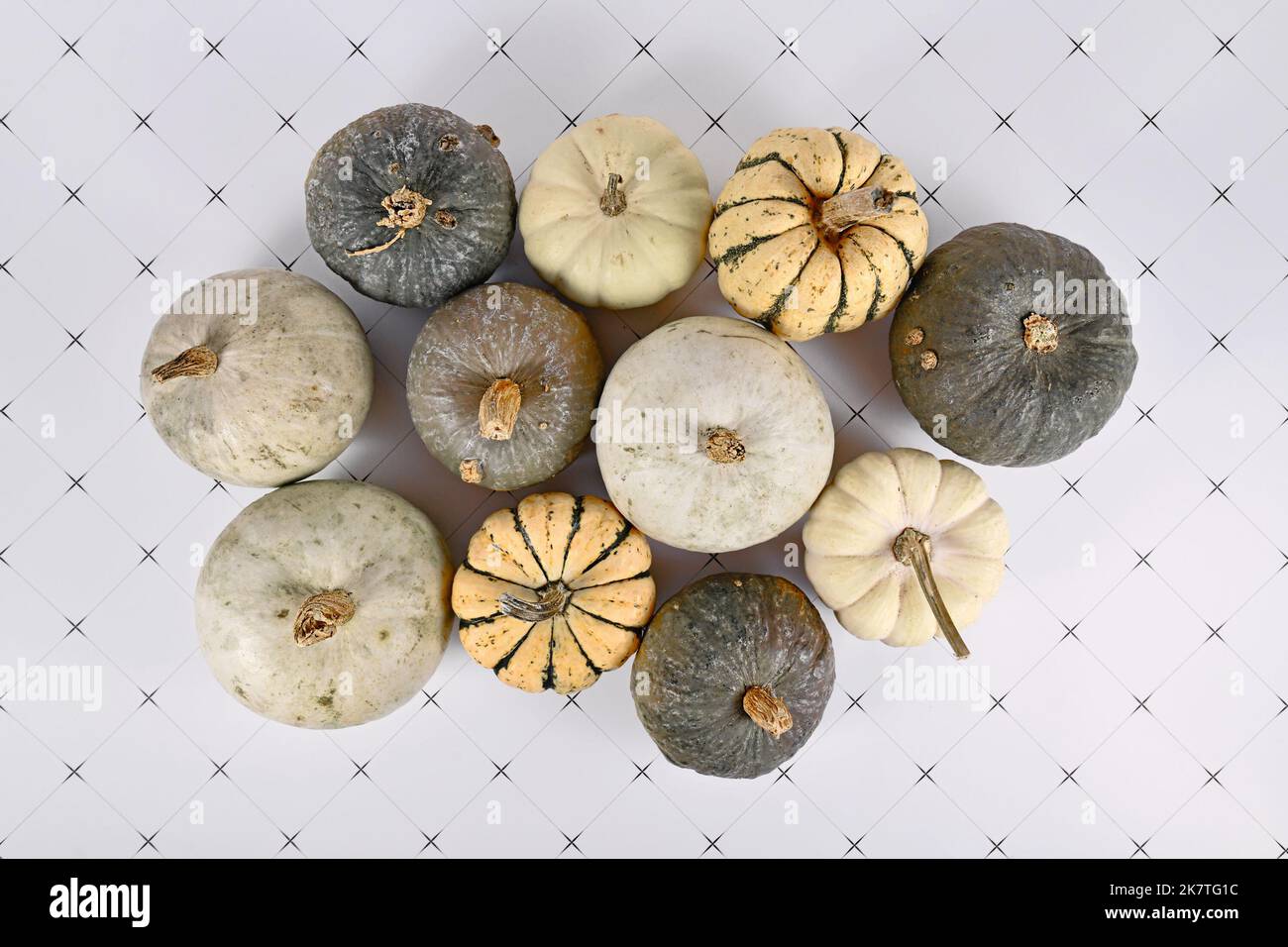 Shokichi shiro hi-res stock photography and images - Alamy