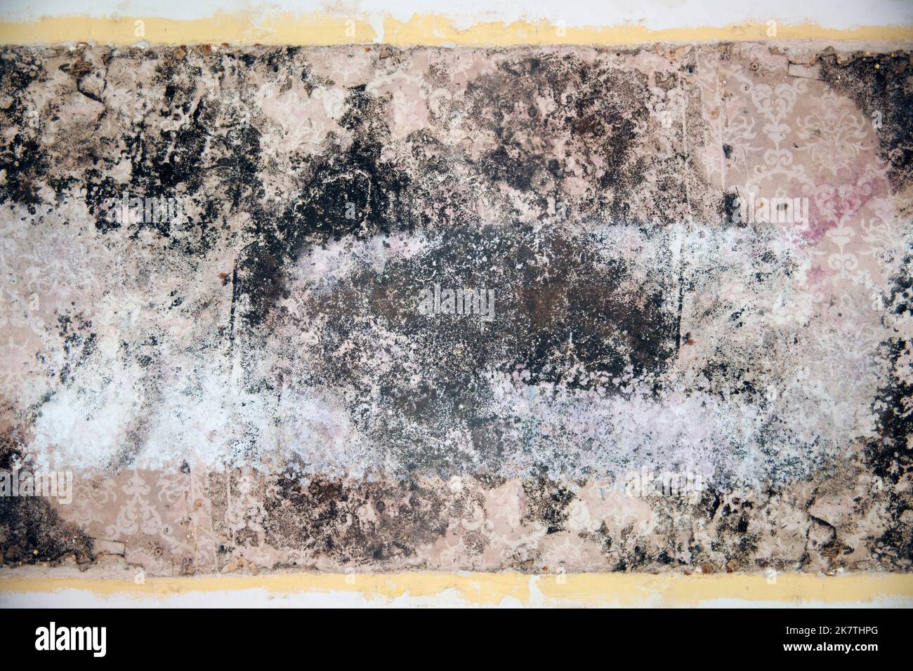 Shabby dirty wallpaper Stock Photo - Alamy