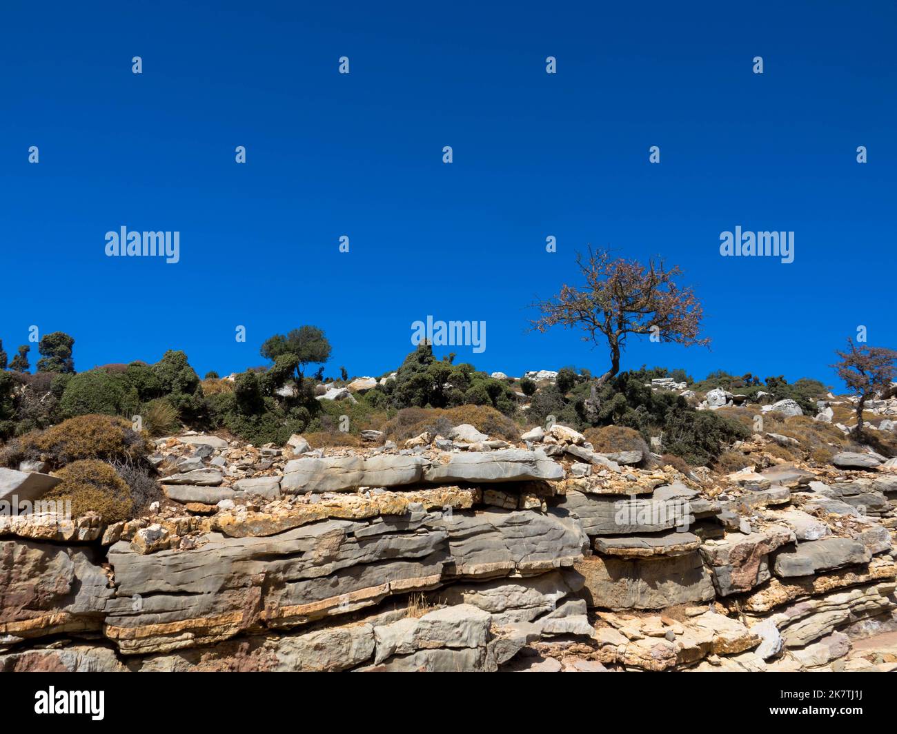 Rocks, stones and trees in arid greek landscape. Attavyros mountain ...