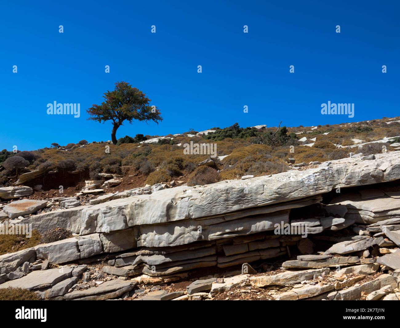 Canyon in rhodes greek hi-res stock photography and images - Alamy