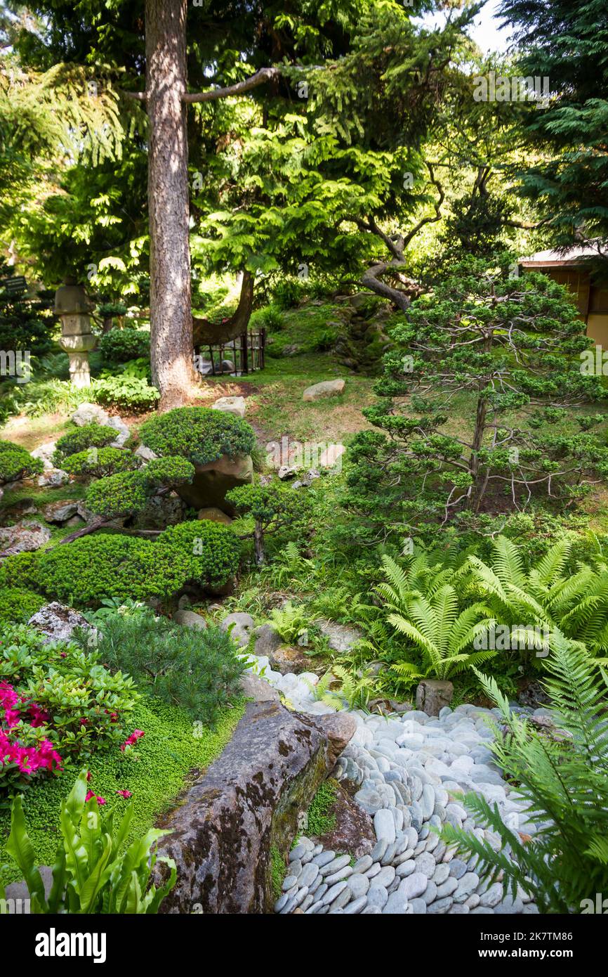 Beautiful traditional japanese garden in summer. Zen background Stock ...