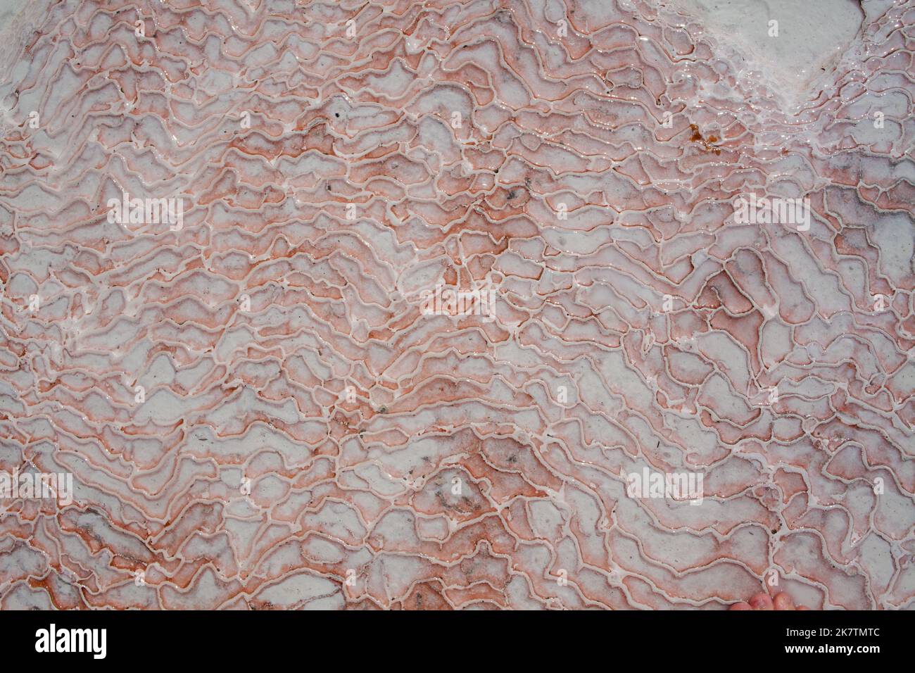 Limestone floor in Pamukkale calcium travertine in Turkey, asymmetric ...
