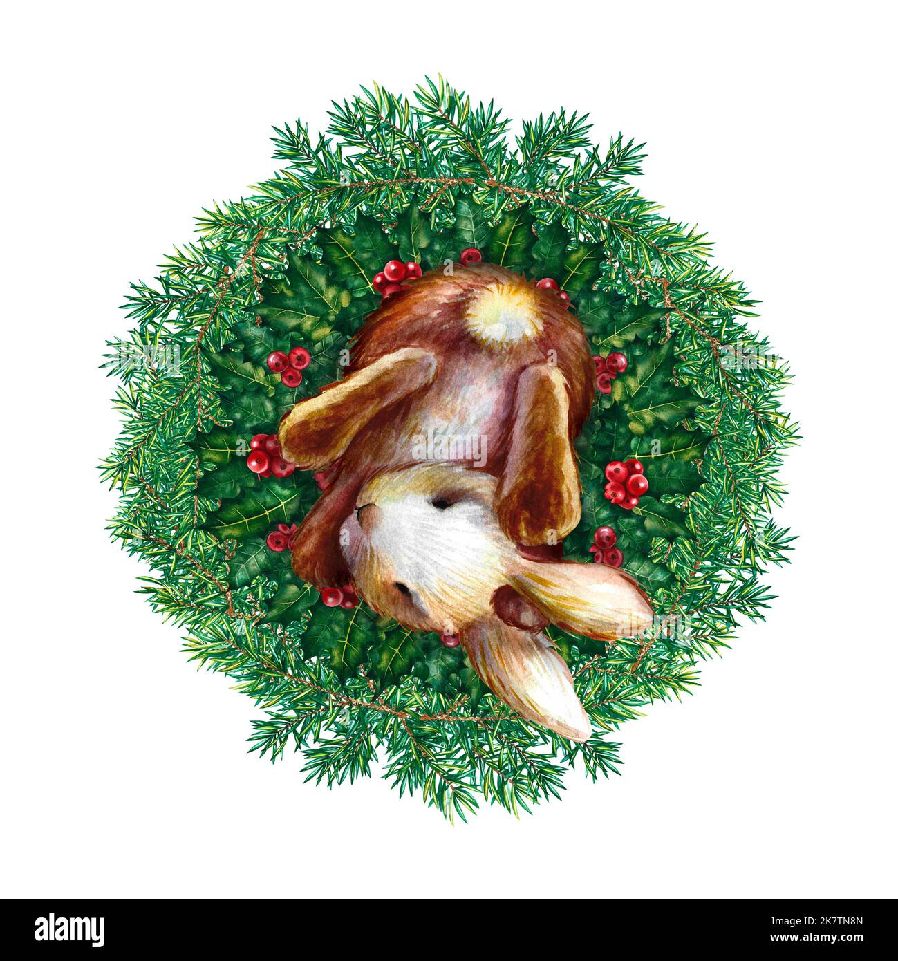 Newborn rabbit in Christmas tree branches. Year of the rabbit ...