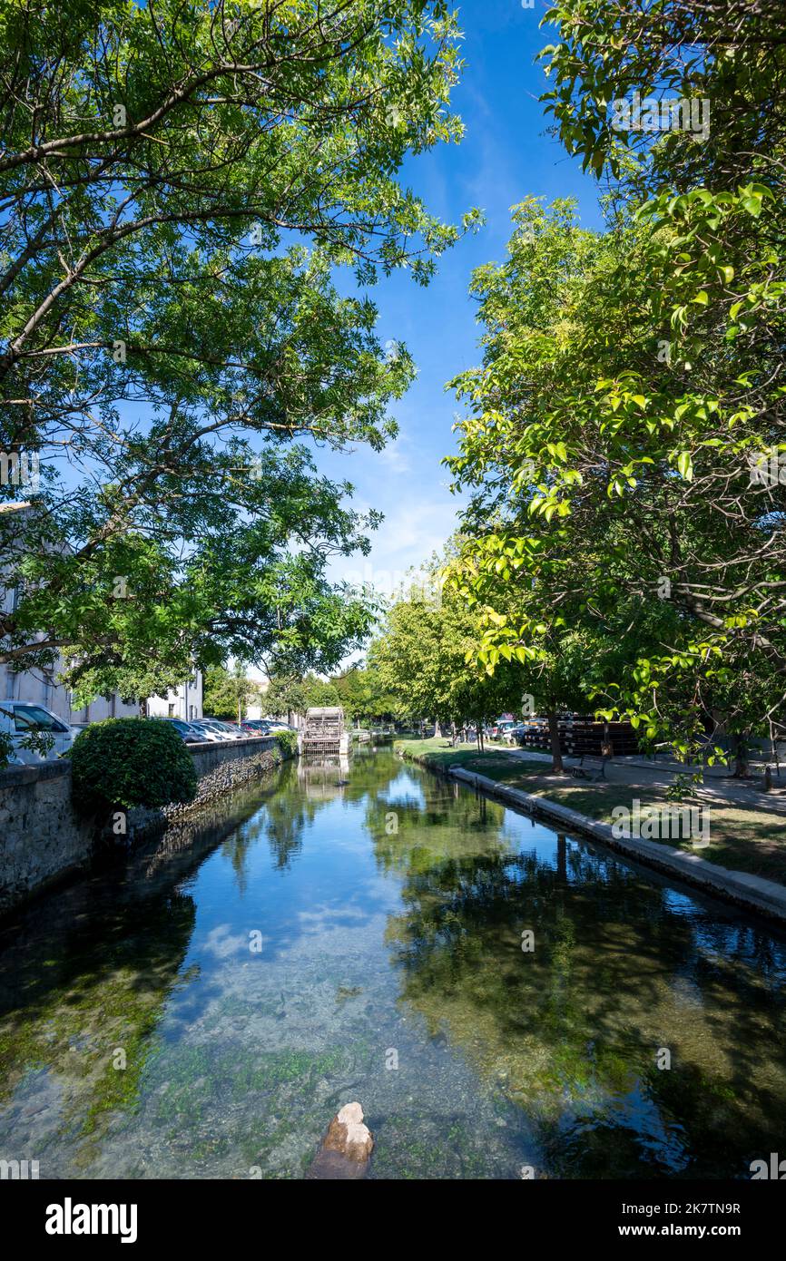 Water canal and green trees, L'Isle-sur-la-Sorgue in summer, the Venice ...