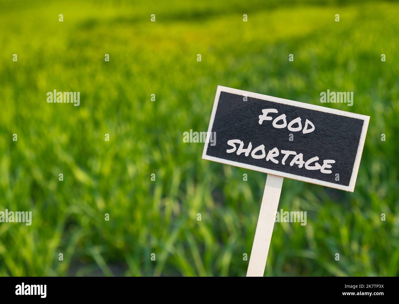 Wooden information label sign with text FOOD SHORTAGE against defocused ...