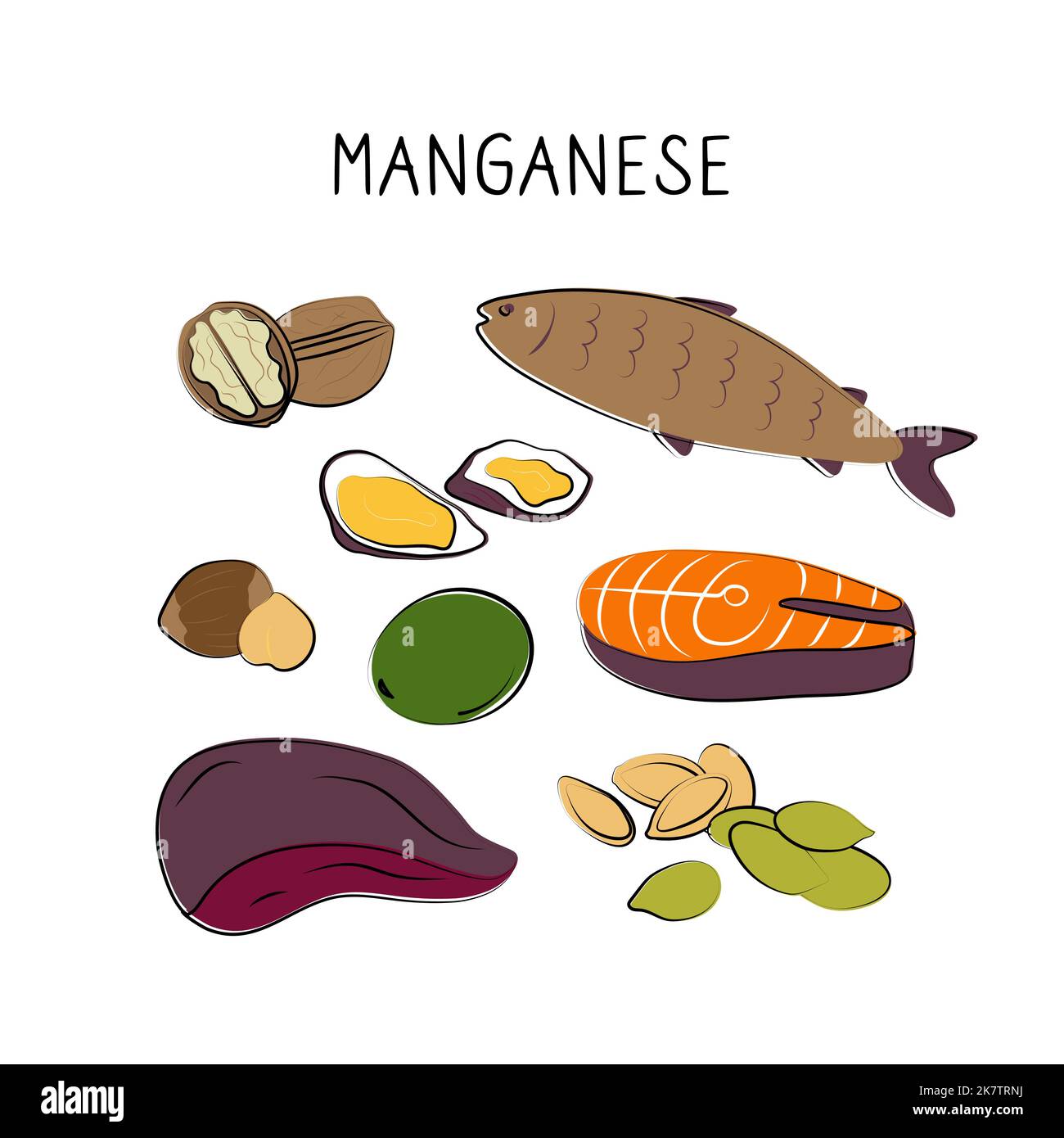 Manganese-containing food. Groups of healthy products containing ...