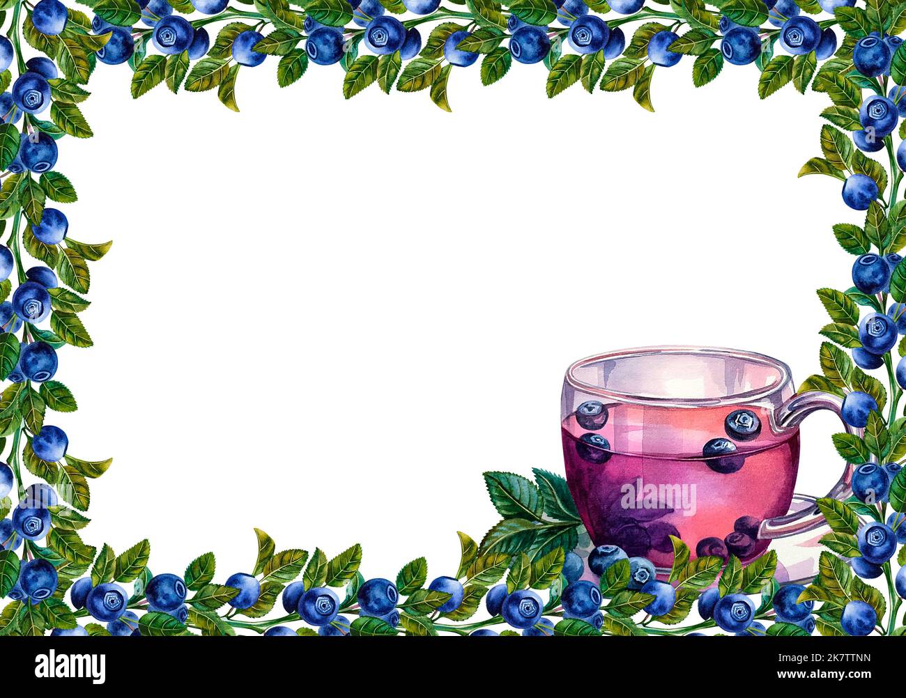 Frame with blueberries and blueberry tea. Fresh natural health product ...