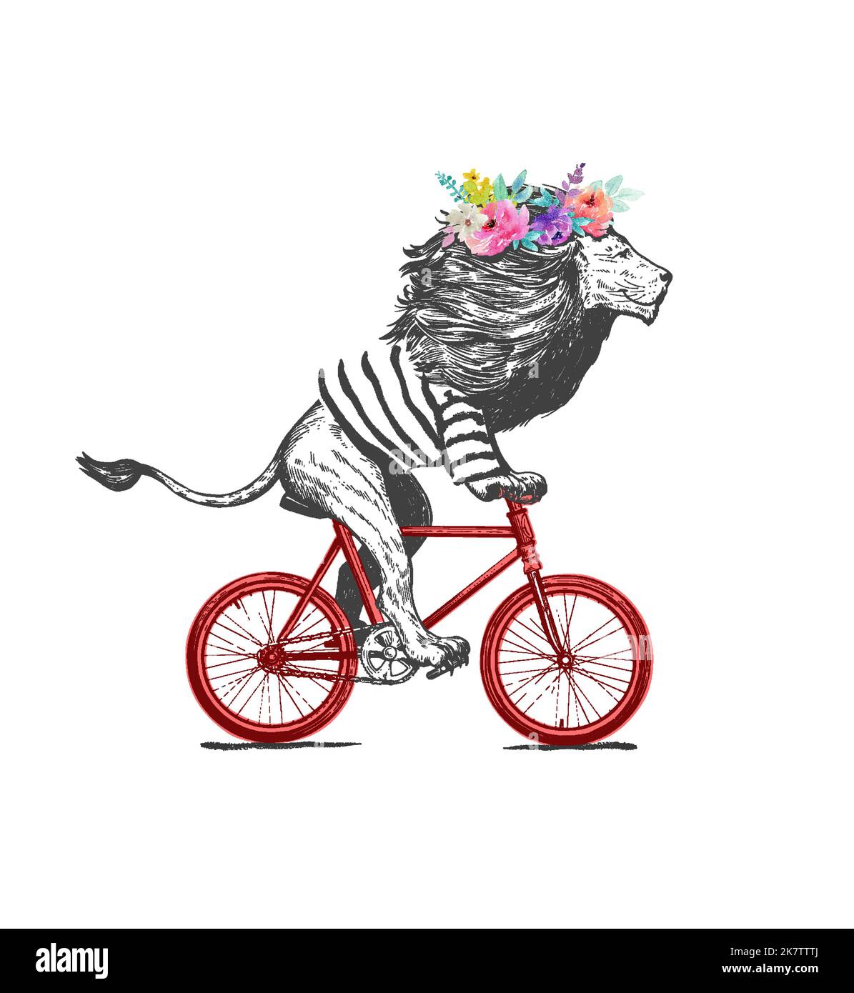Lion Wearing T-shirt and Wreath Rides Bicycle Vector Illustration ...