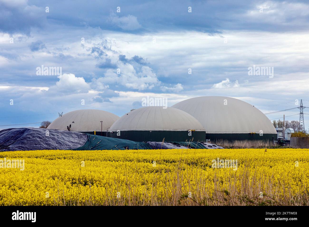 Biogas plant in a blooming rapeseed field Stock Photo - Alamy