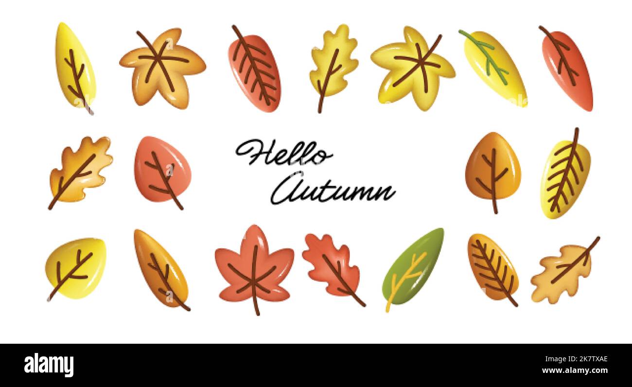 Set Of Autumn Leaves Collection Of Colorful Autumn Leaves Isolated On