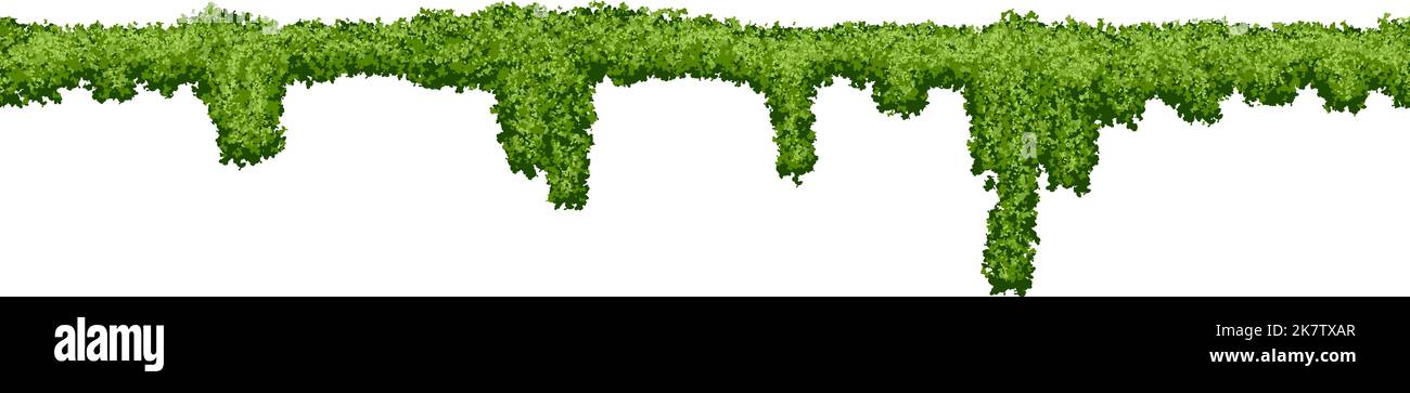 Seamless line swamp moss texture on white background Stock Vector Image ...