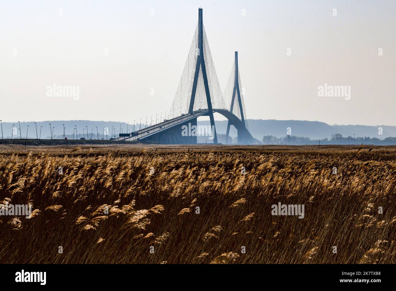 The Normandy Bridge (French “pont de Normandie”) on the estuary of the ...