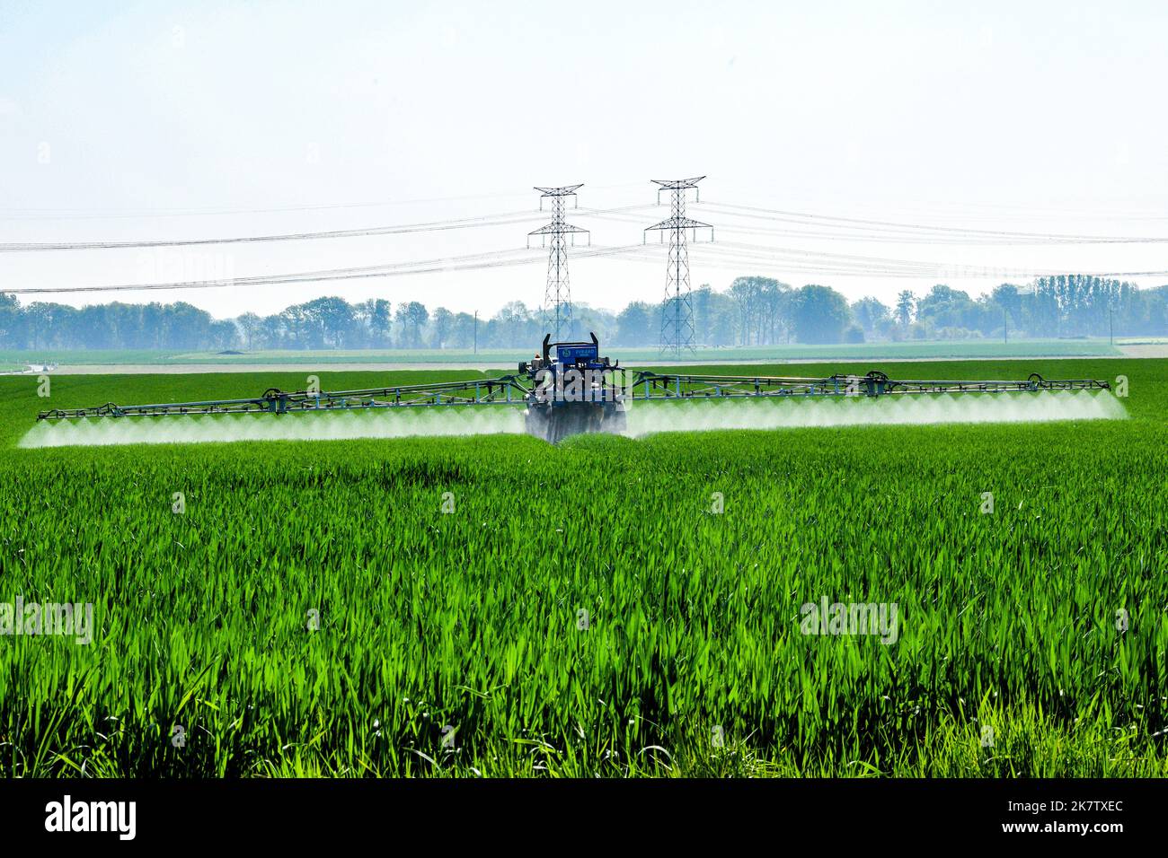 Pesticides sprayed on a field of cereals in the Seine Maritime ...