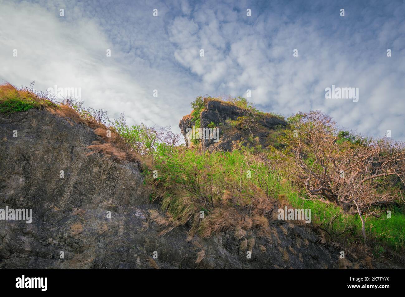 Philippines deforestation hi-res stock photography and images - Alamy
