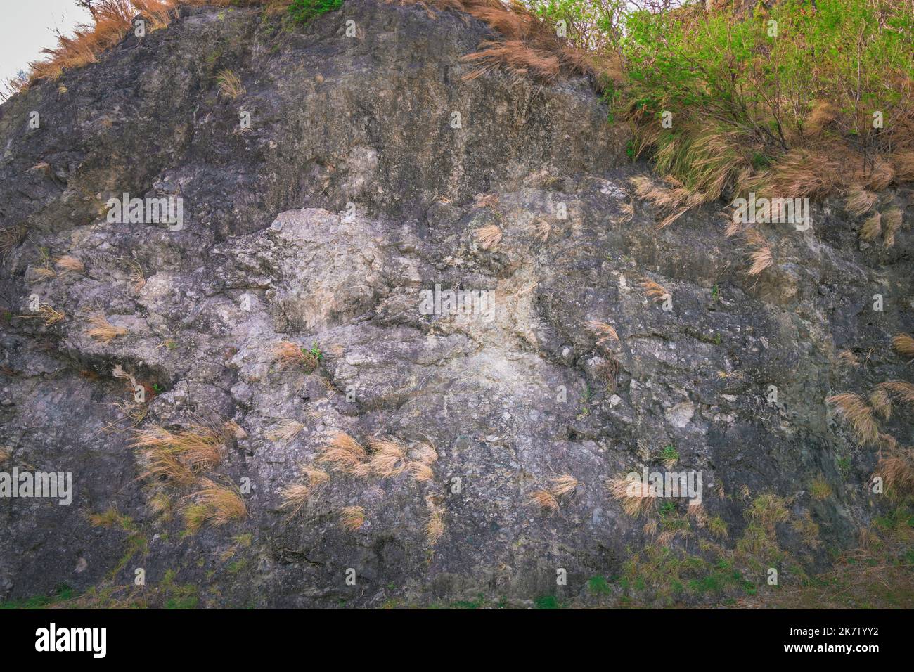 Rock wall with dry grass growths Stock Photo - Alamy