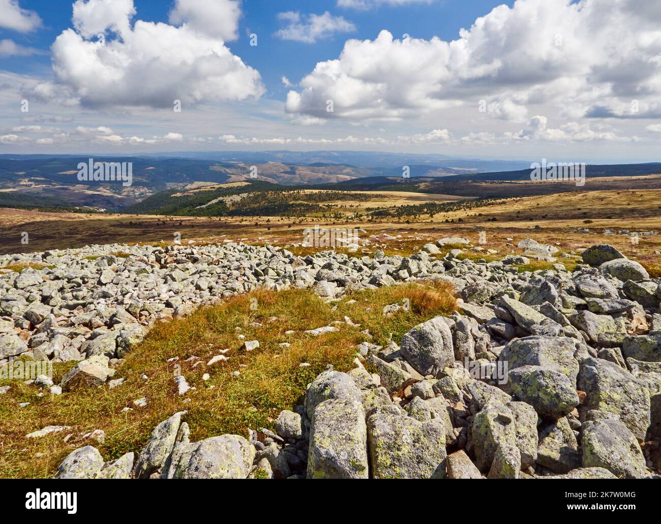 Hike through moors on a slope of the "Mont Lozere” peak: desert ...