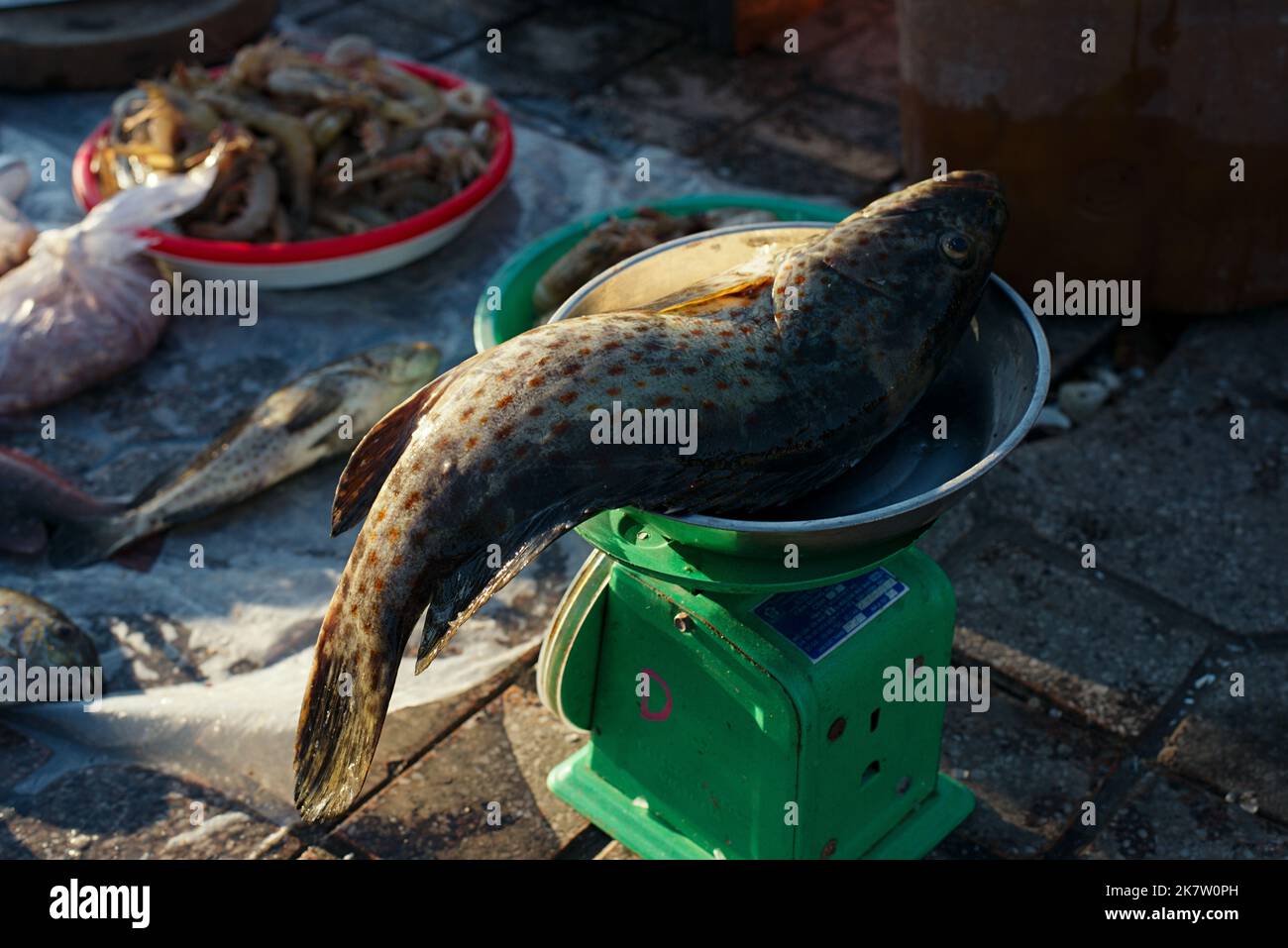 Fresh fish on scales, fish market, Vietnam Stock Photo - Alamy