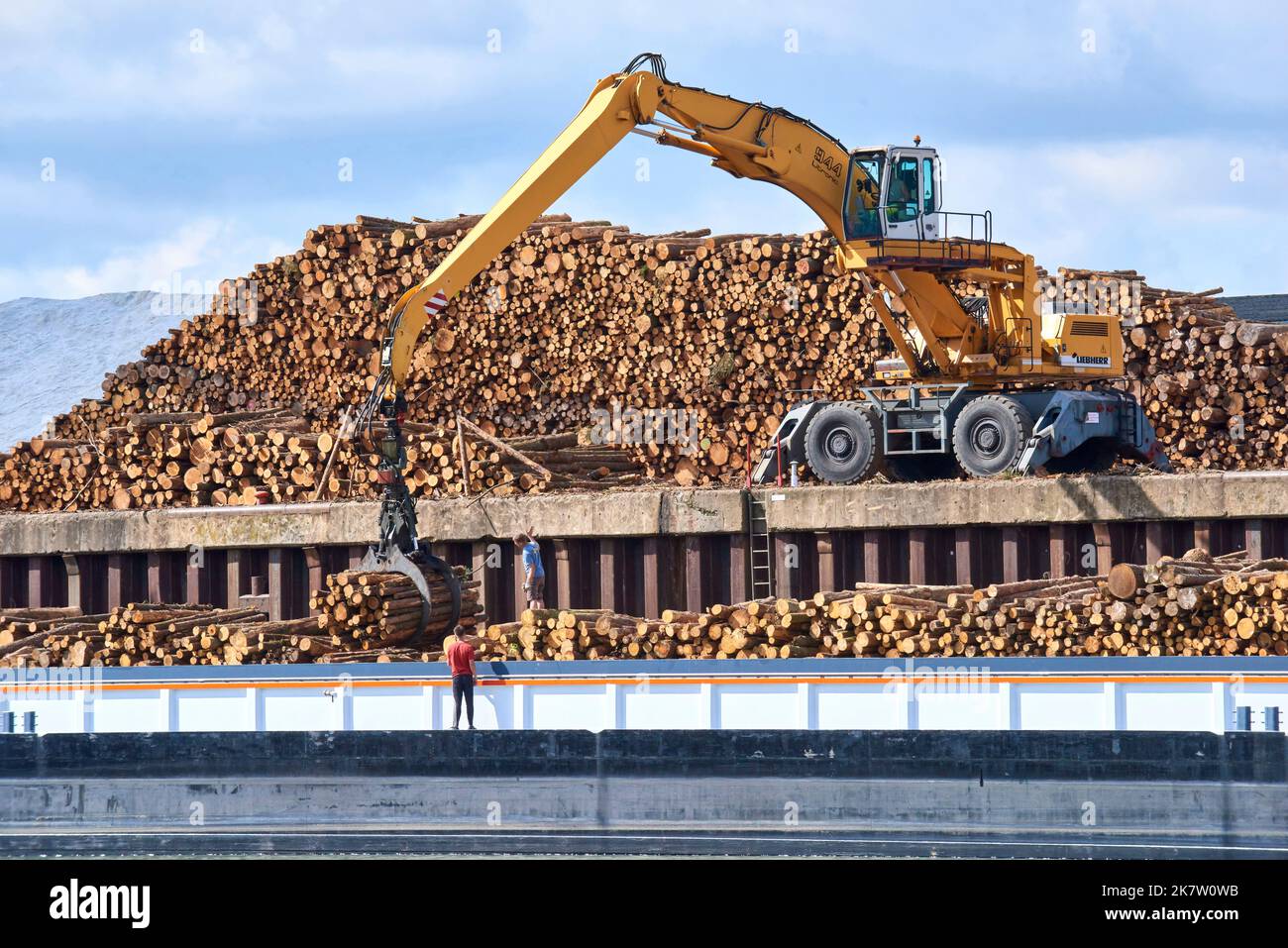 Large barge “Le Condor” loaded with wood in the river port of ...