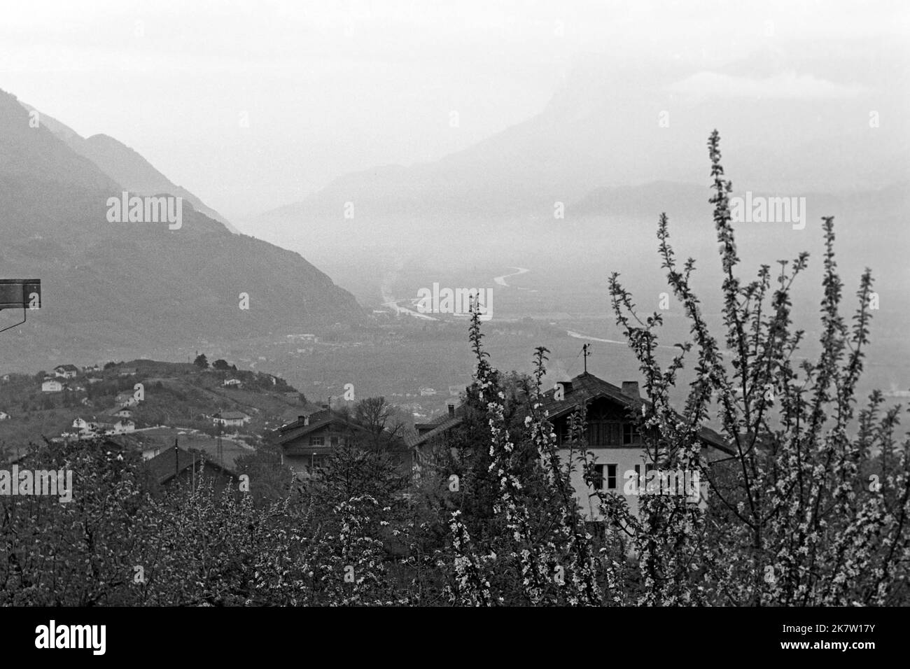 Dorf Tirol mit Apfelbäumen, Frühling 1967. Dorf Tirol with apple trees ...