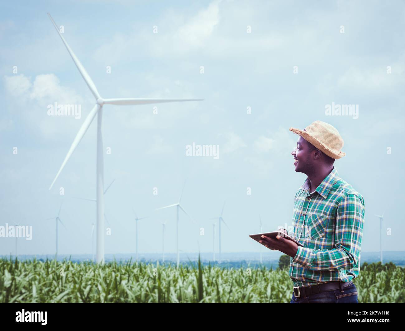 African farmer standing and using tablet on corn farm with wind turbine ...