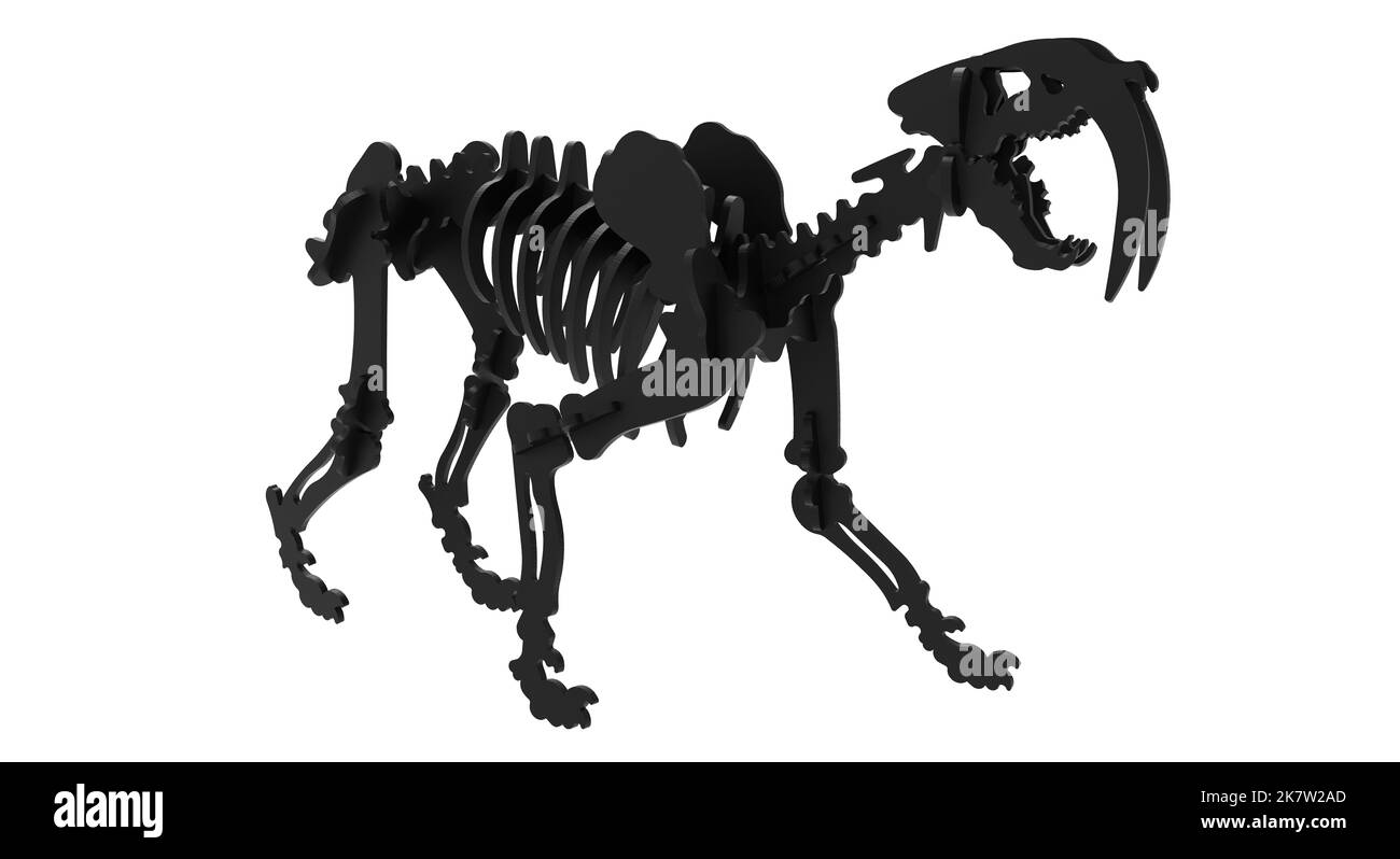 3D rendering of a Smilodon skeleton or saber toothed tiger a genus of ...