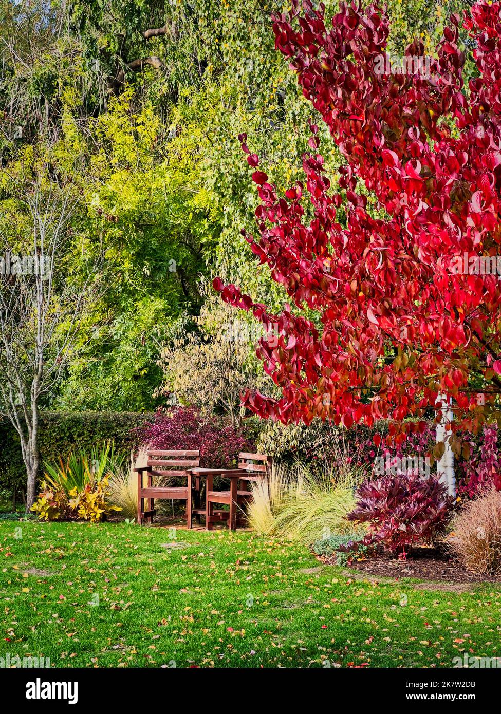 Autumn Garden II Stock Photo - Alamy