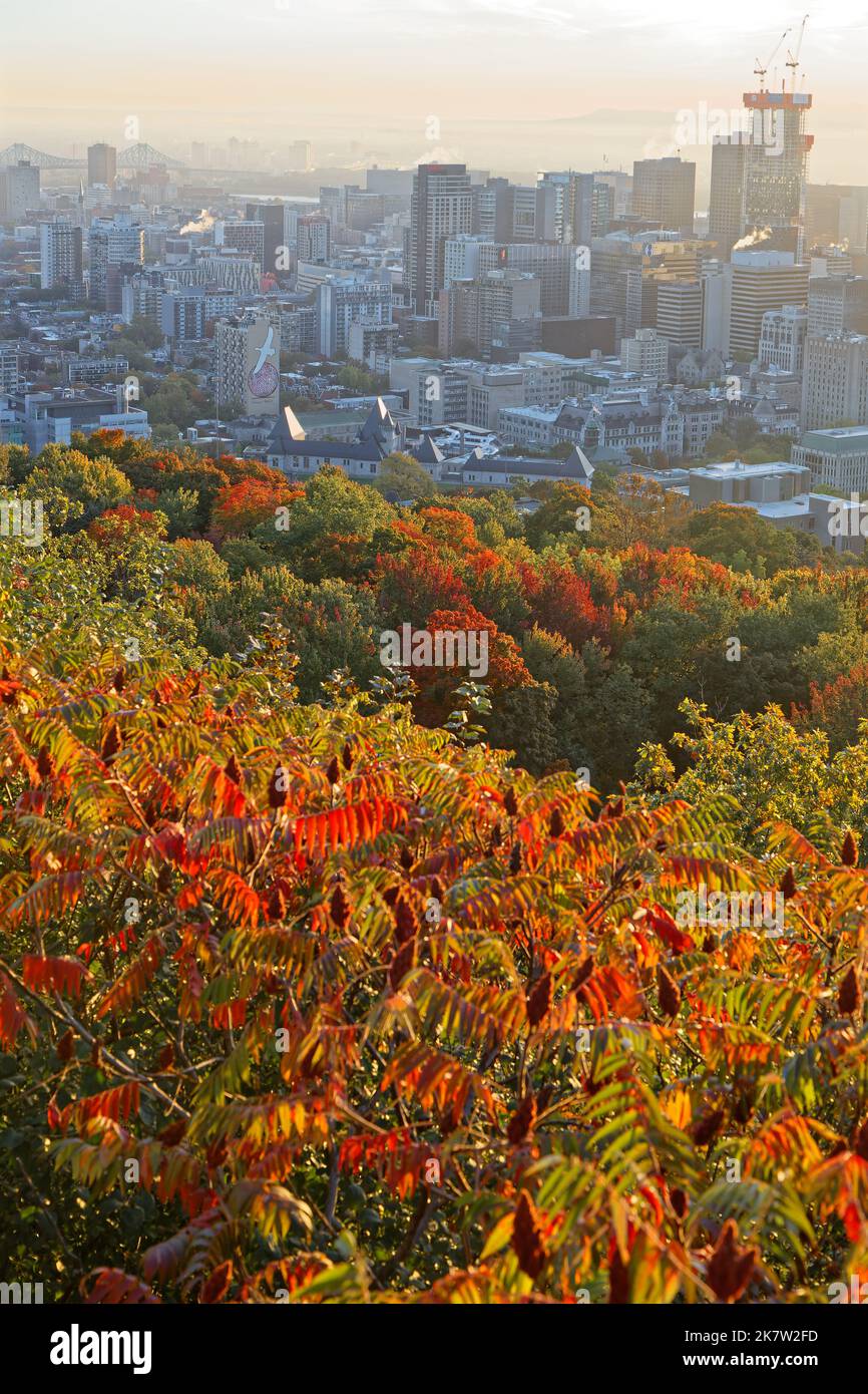 MONTREAL, CANADA, October 4, 2022 : Skyline of Downtown Montreal from ...