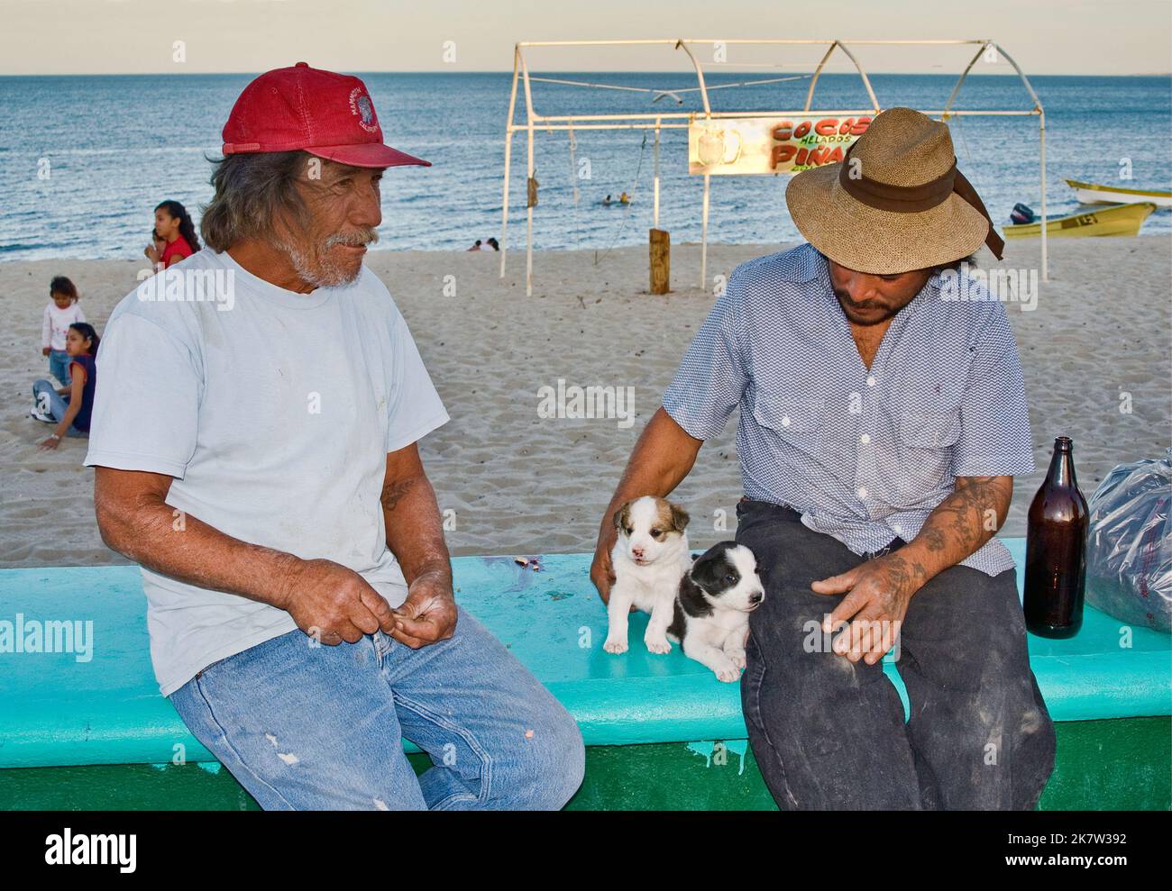Men, puppies at Malecon, San Felipe, Baja California, Mexico Stock ...