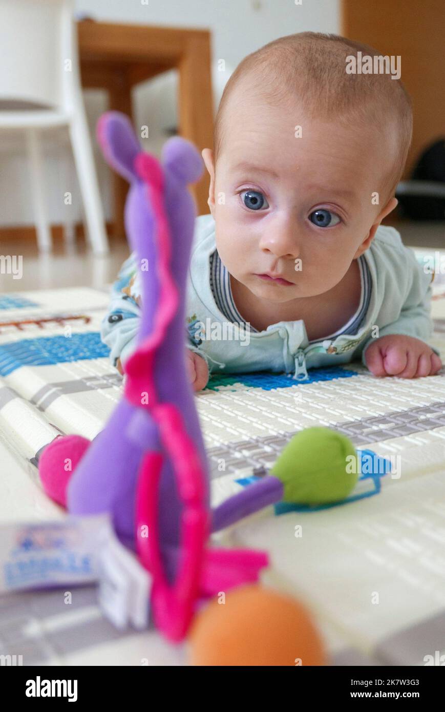Curious baby on the floor looking at colorful plush toy giraffe Stock ...