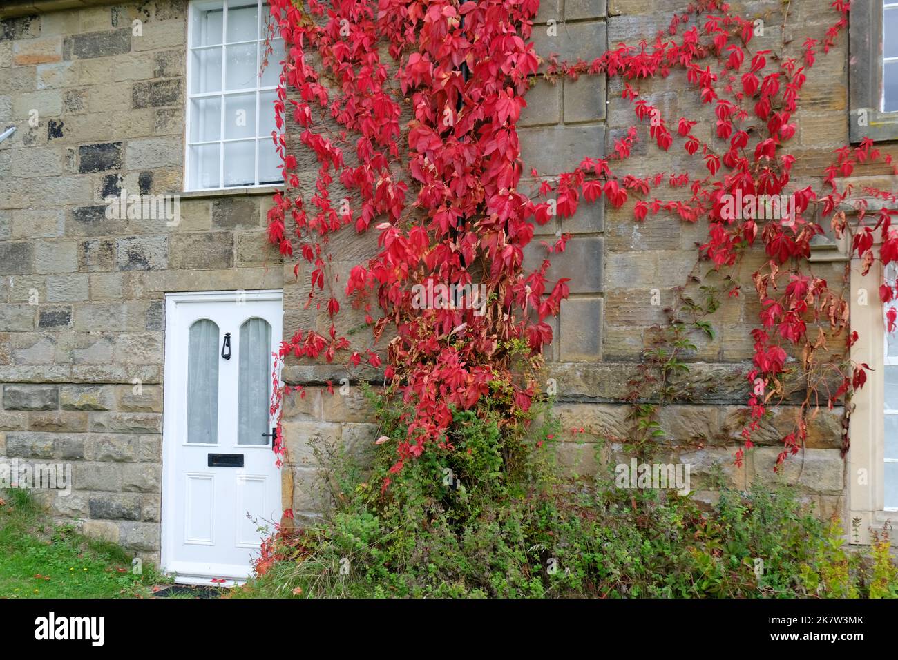 Colourful Virginia Creeper on the wall of a quaint cottage, Hutton le ...
