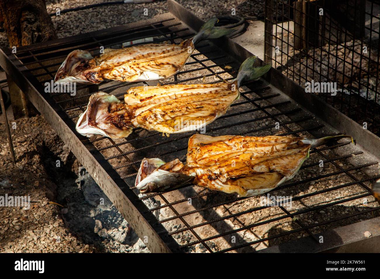 Different types of fish cooked over a fire at a food festival in ...