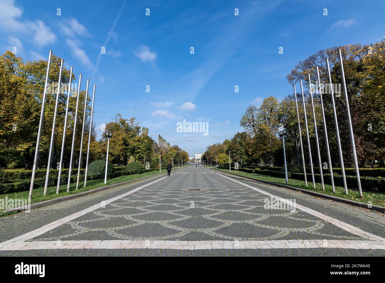 Landscape with the main alley surrounded by green, yellow, orange and ...