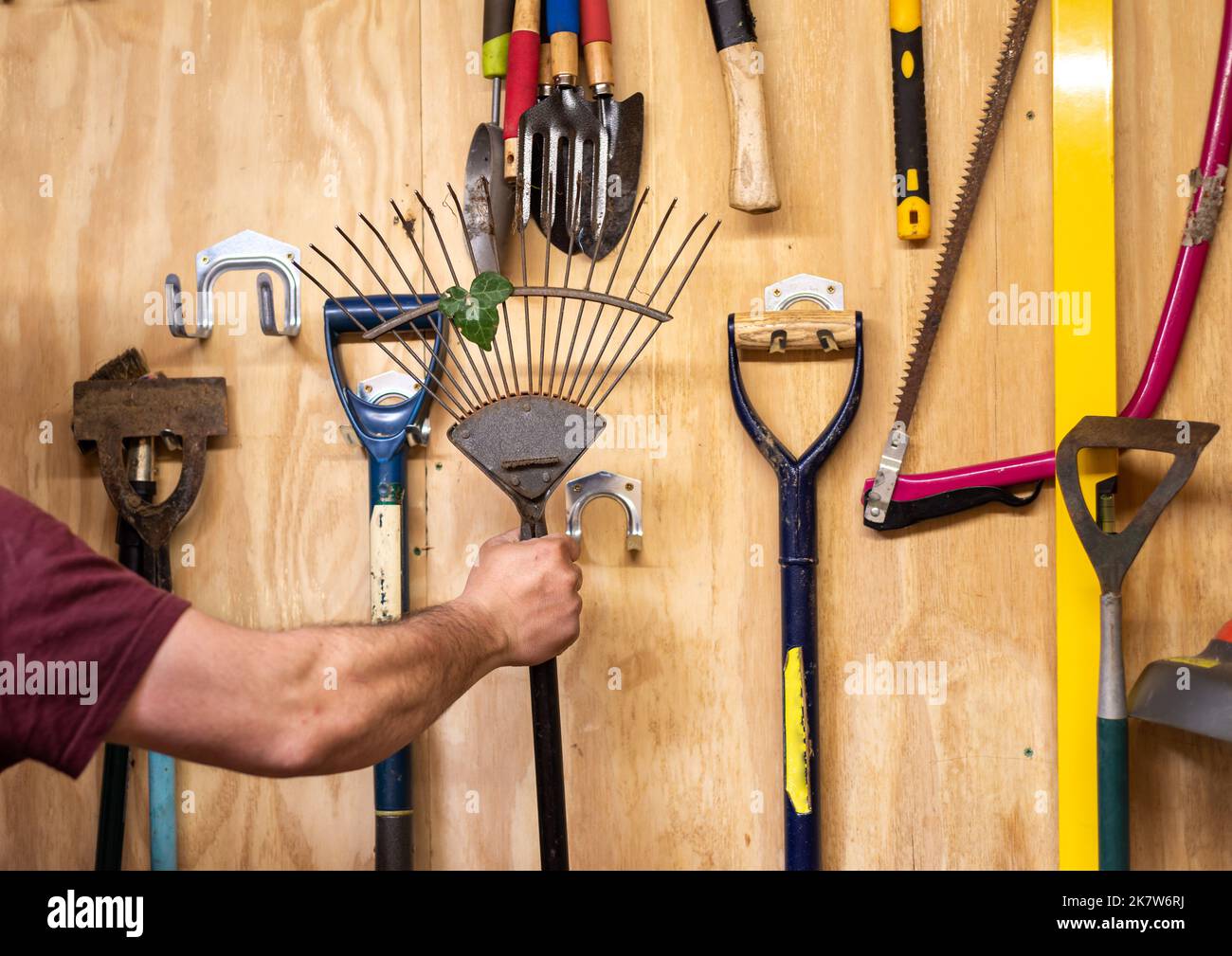 Man's arm taking lawn and leaf rake off wooden wall with various ...