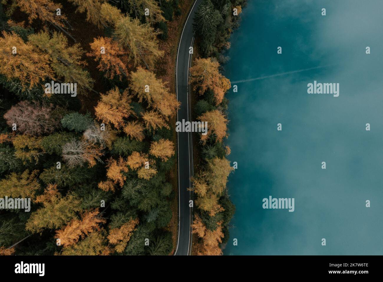 Holzsteg wald hi-res stock photography and images - Alamy