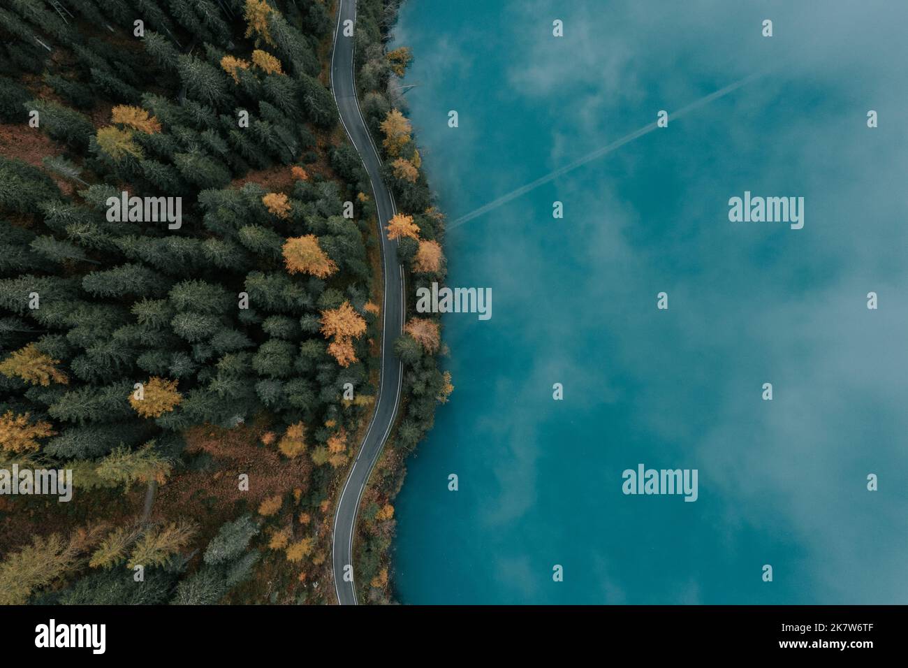 Strasse durch den wald hi-res stock photography and images - Alamy