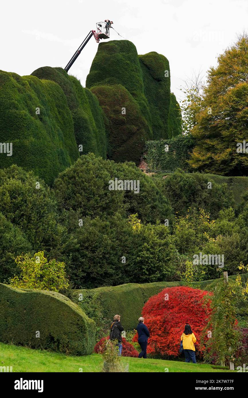 National Trust gardener Dan Bull works from a cherry-picker to trim a ...