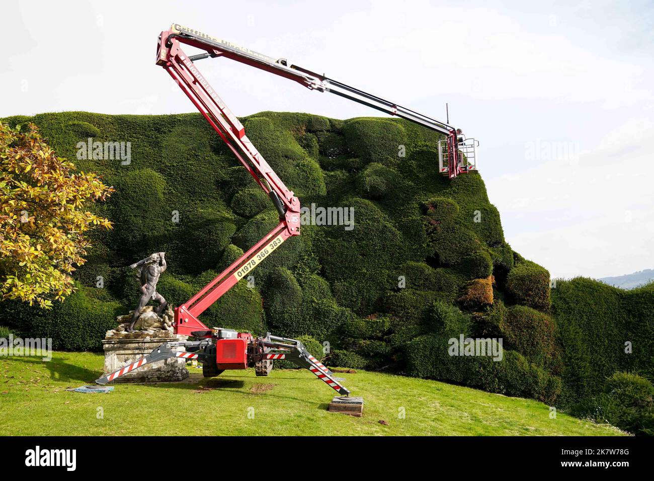 National Trust gardener Dan Bull works from a cherry-picker to trim a ...