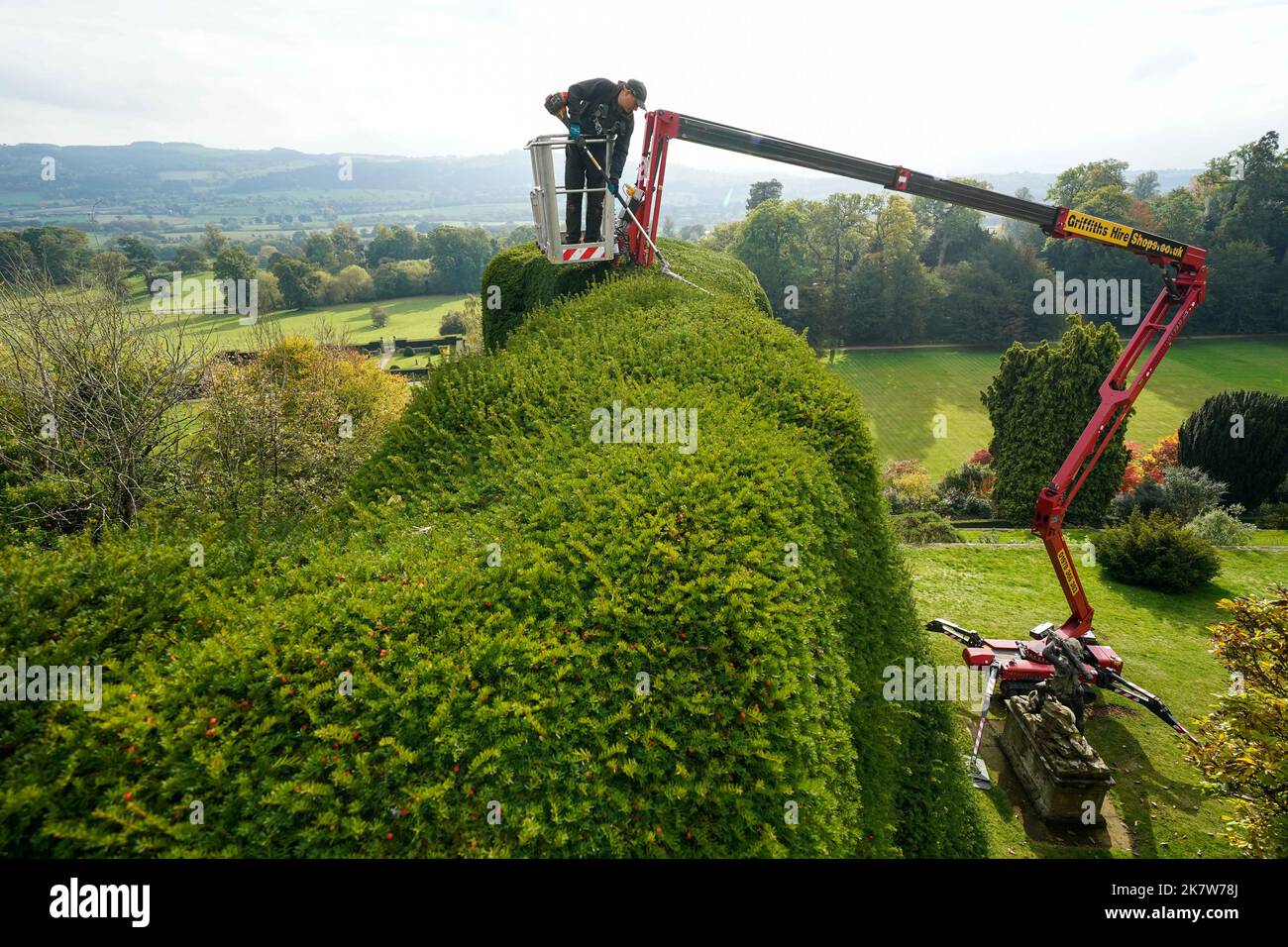 National Trust gardener Dan Bull works from a cherry-picker to trim a ...