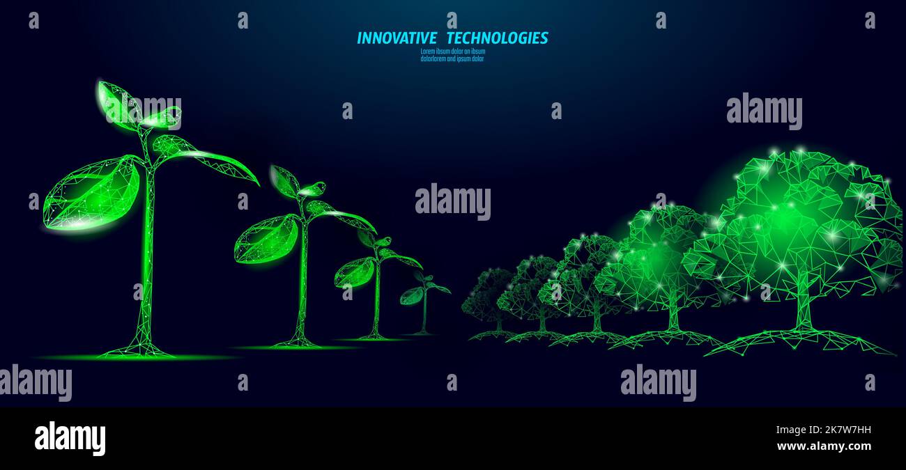 Low poly tree park alley wood. Ecology save nature forest concept ...