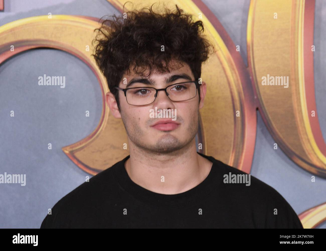 Woody From Suite Life On Deck 2022