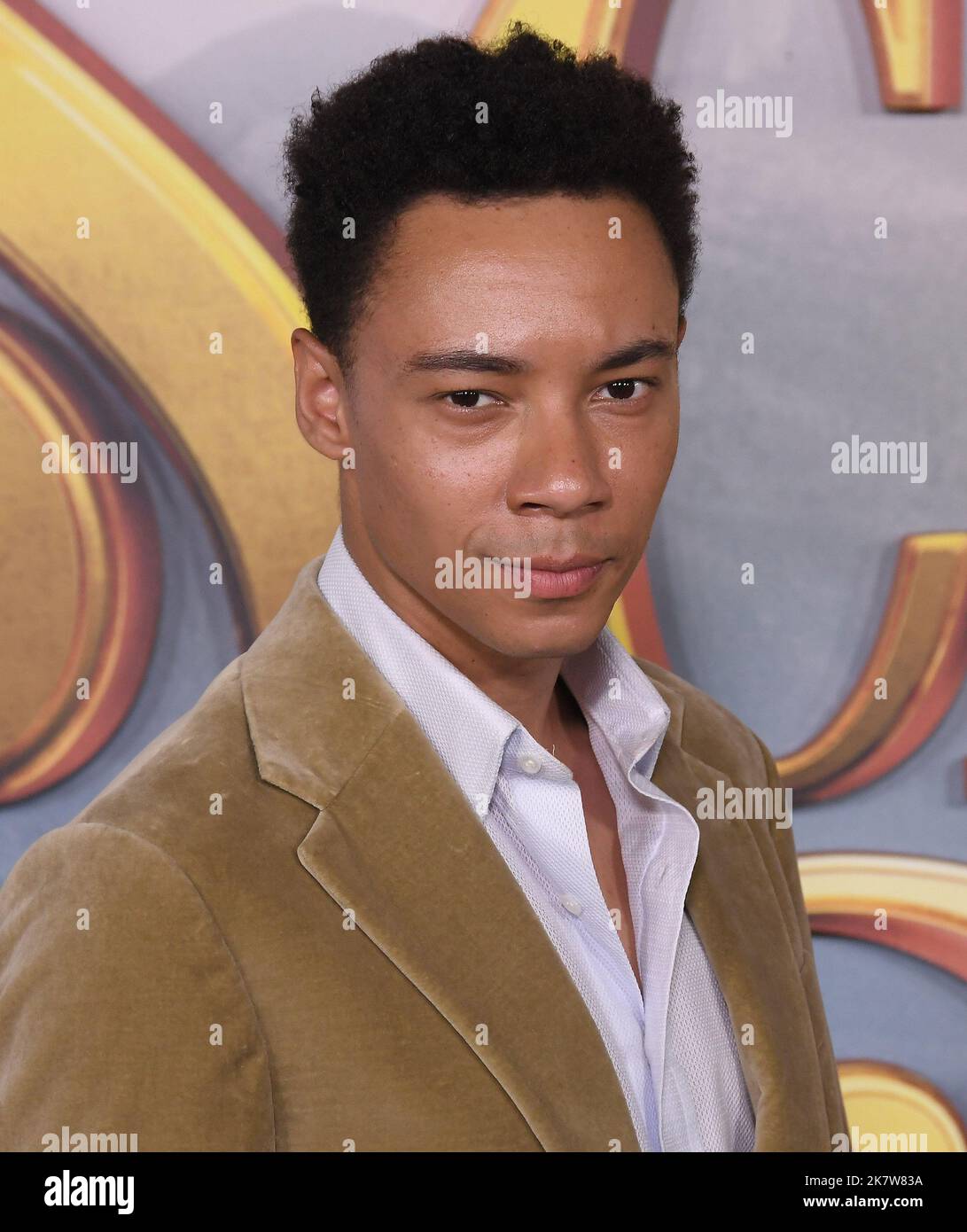 Kit Young arrives at the Netflix's THE SCHOOL FOR GOOD AND EVIL Premiere held at the Regency ...