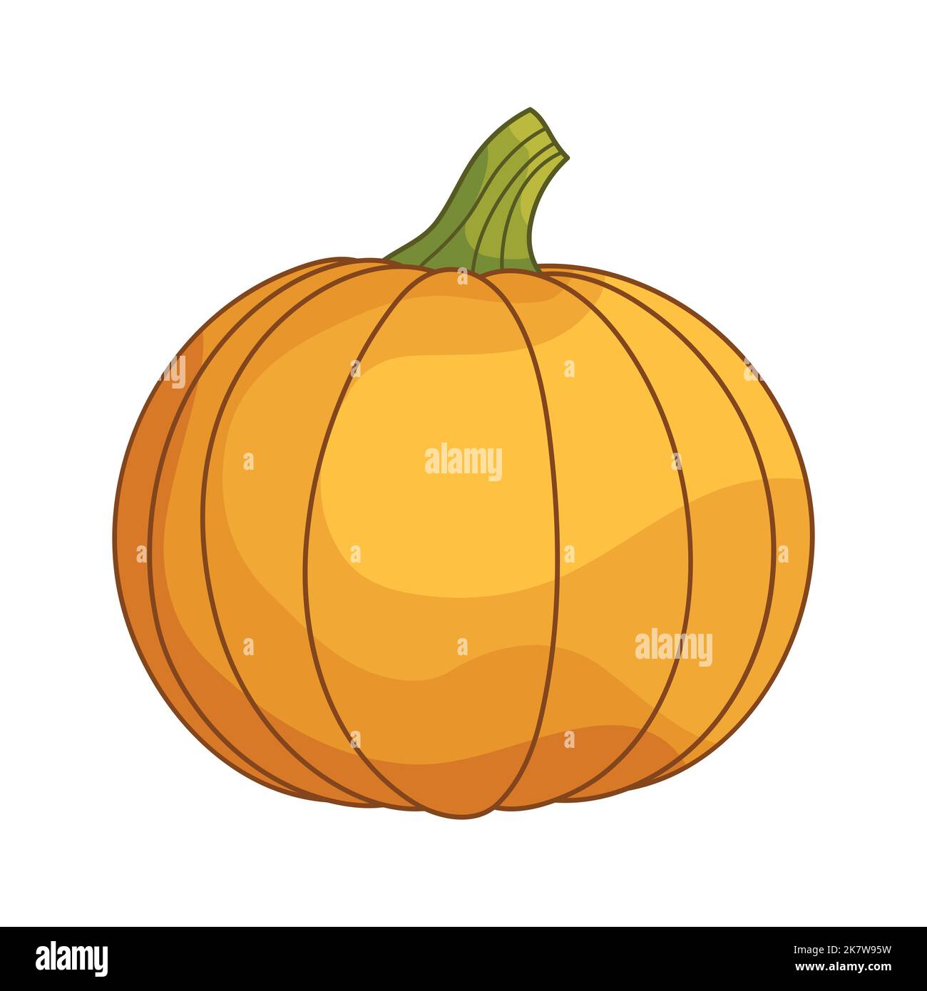 Cute flat style pumpkin. Oval shape. Vegetable illustration for farm ...