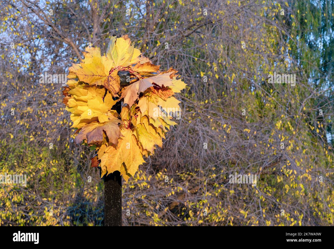 Wreath of yellow maple leaves on a metal pole Stock Photo - Alamy