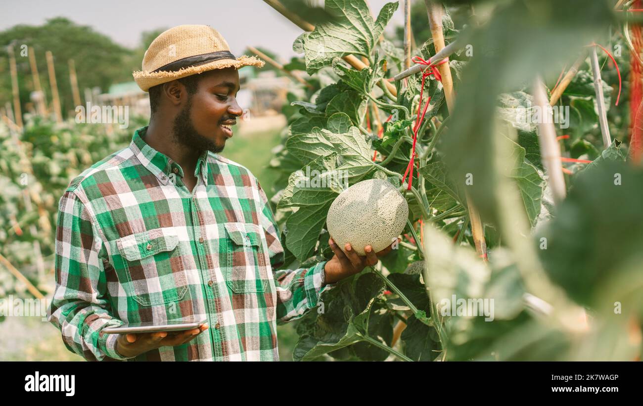 Agriculture data africa hi-res stock photography and images - Alamy