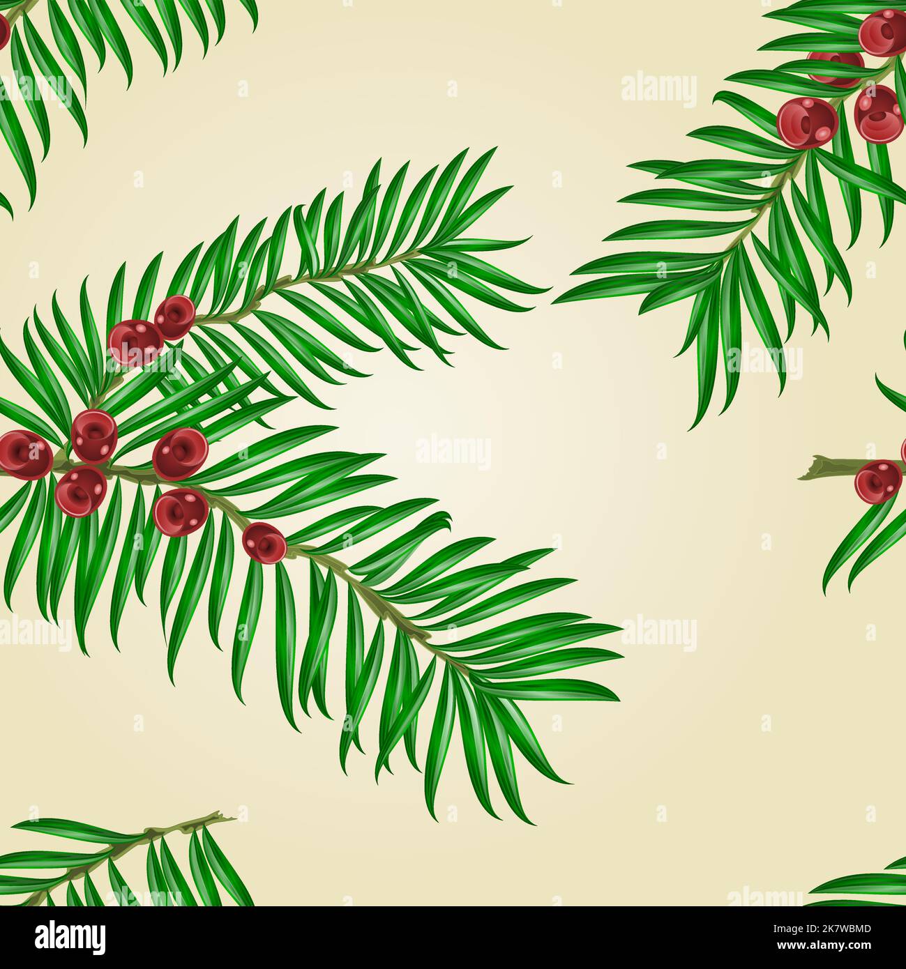 Evergreen yew tree branches Stock Vector Images - Alamy