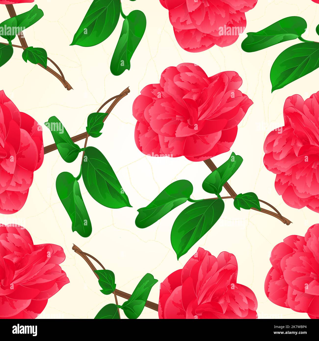 Seamless texture Camellia Japonica flowers with bud vintage vector ...