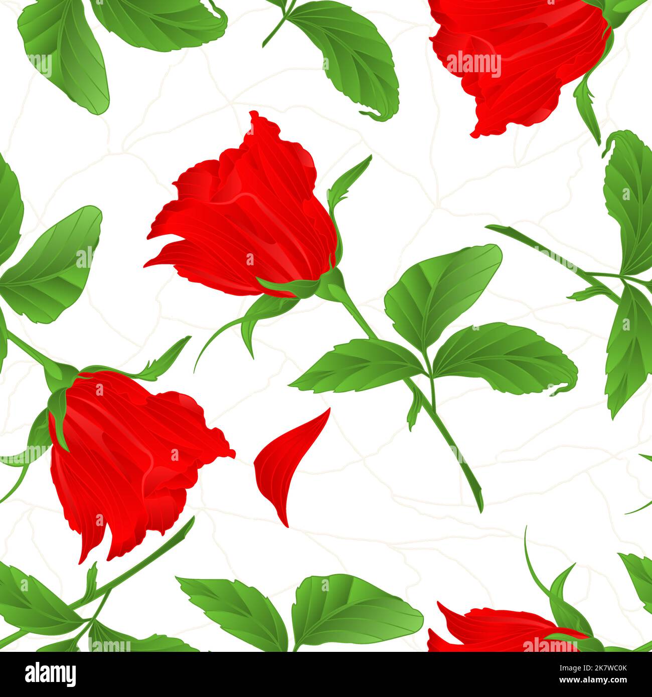 Detailed botanic Stock Vector Images - Alamy